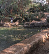 CSE’s Weekly News Bulletin